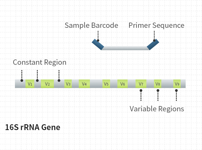 GENOBIOME | BioEleven